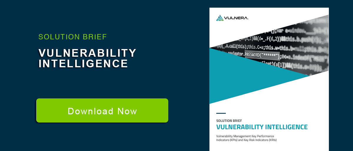 Vulnerability Intelligence: Identifying and Prioritizing Risk - VULNERA